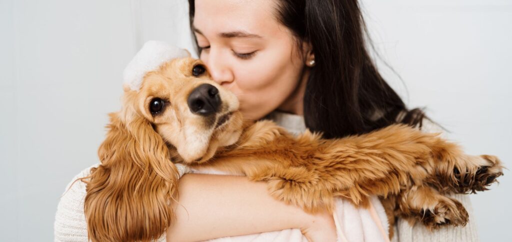 6 Innovative Pet Grooming Solutions from Sensient Beauty - Sensient Beauty