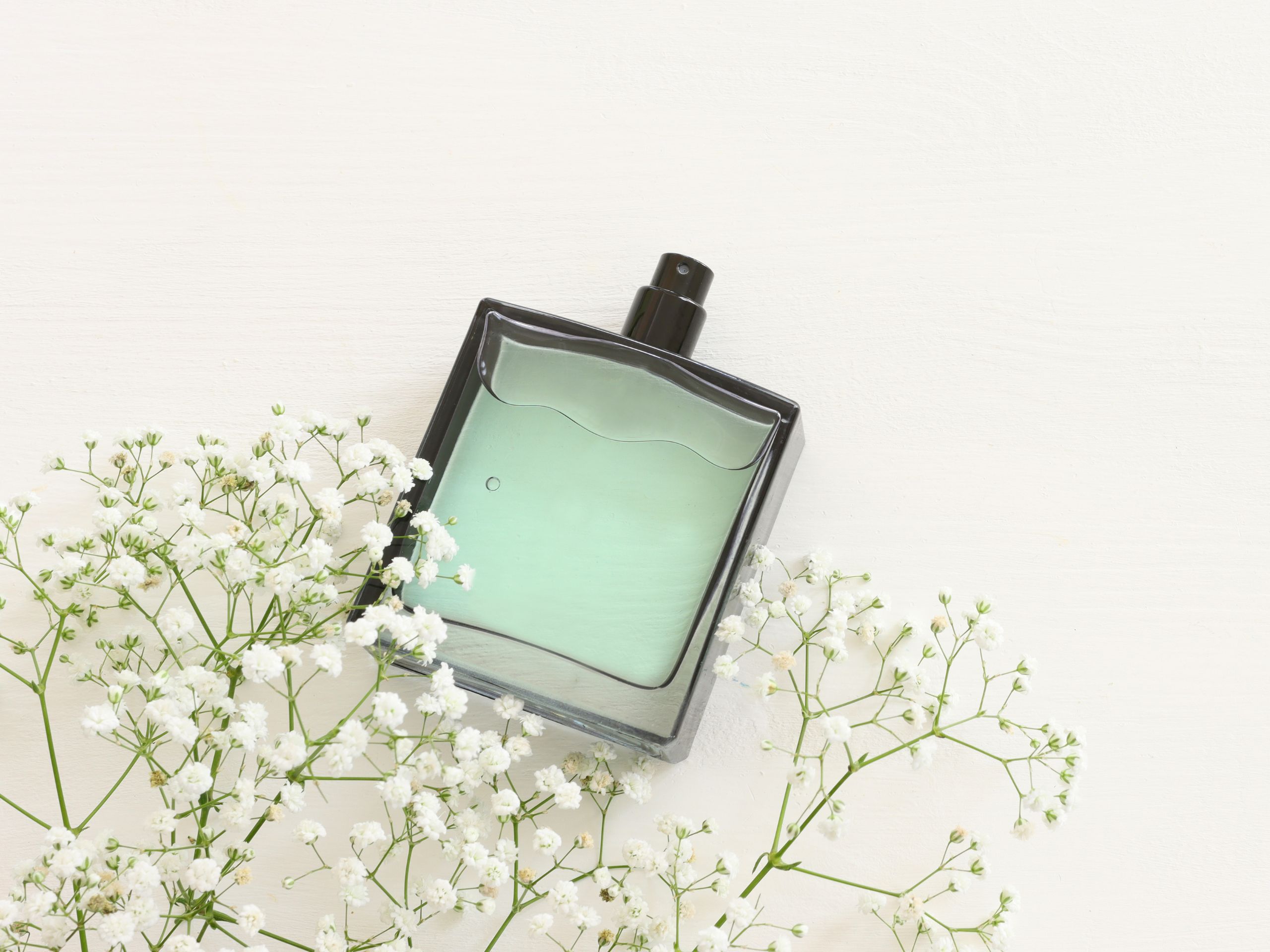 COVABSORB NATURE GP - Sensient Beauty